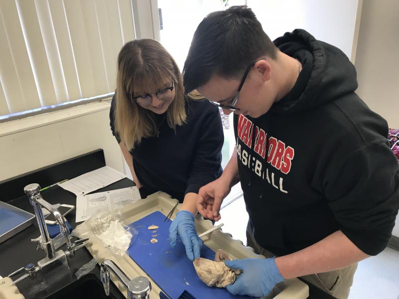 Classroom Instruction | California FFA and Agricultural Education